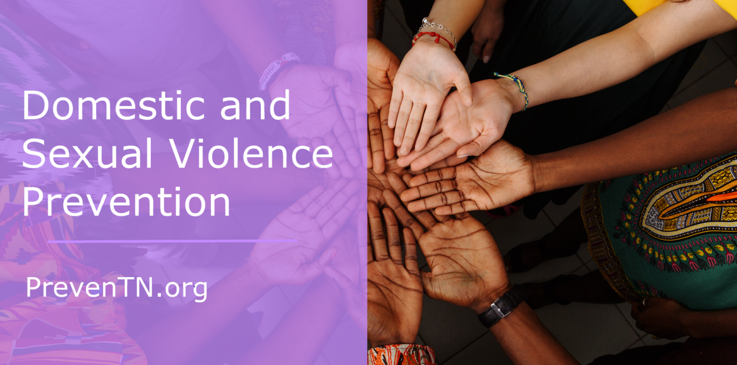 TN Coalition to End Domestic & Sexual Violence